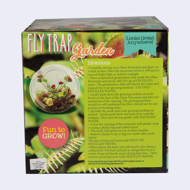 Fly Trap Garden - Glass Terrarium Kit – GiantRobotStore