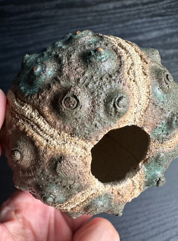 Giant Robot / GR2 Gallery Store – GiantRobotStore