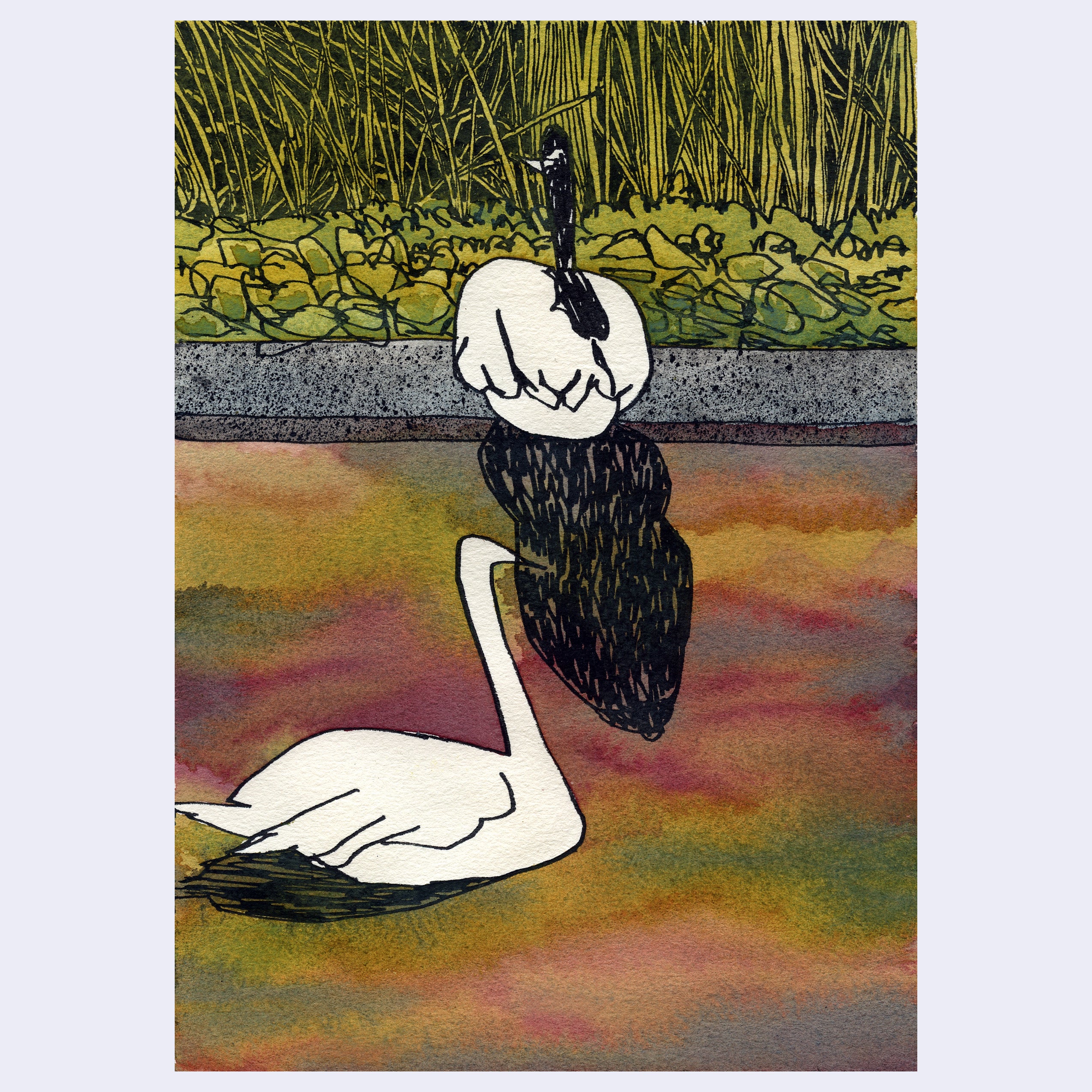 Sitting Outside III - #242 - Trevor Shin - "Echo Park Lake ...