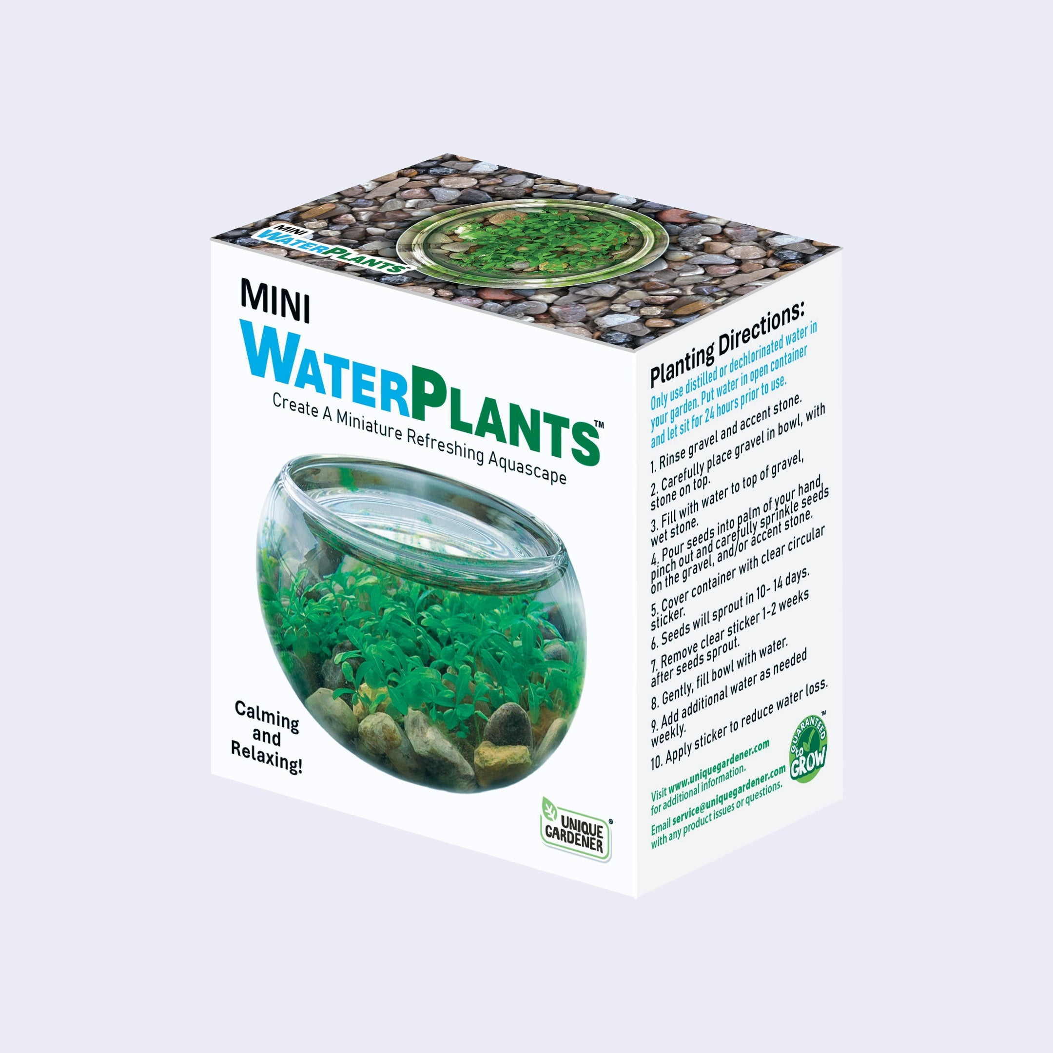 Mini Waterplants Aquatic Terrarium – GiantRobotStore