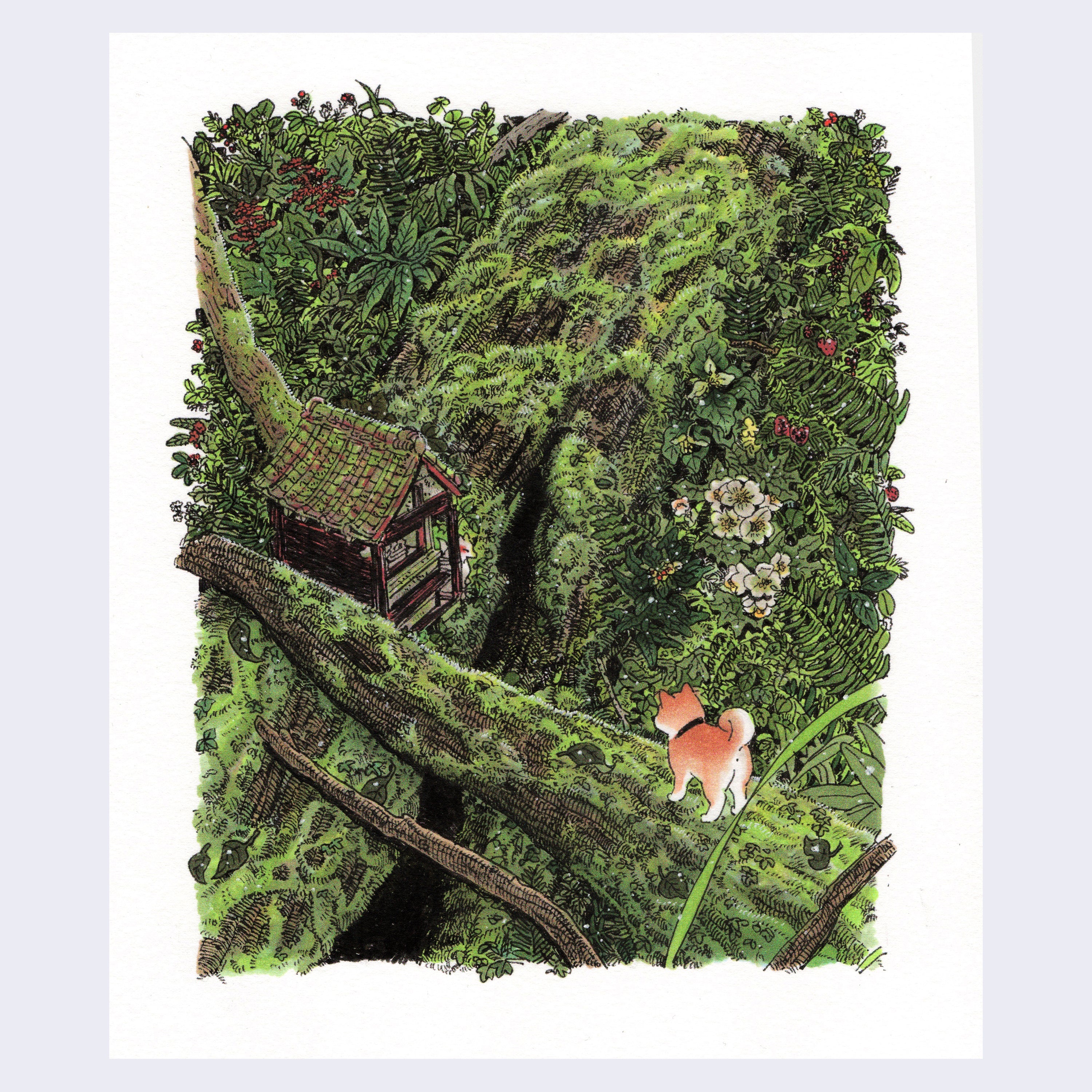 Deep Forest 2022 - Lisa Kogawa - "Fukai" – GiantRobotStore